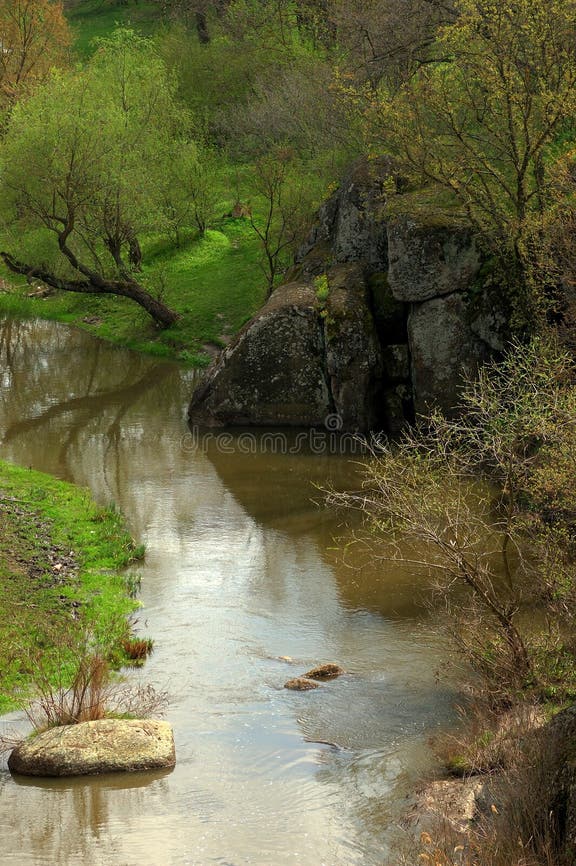 Brook in forest stock photo. Image of summer, perspective - 4935098