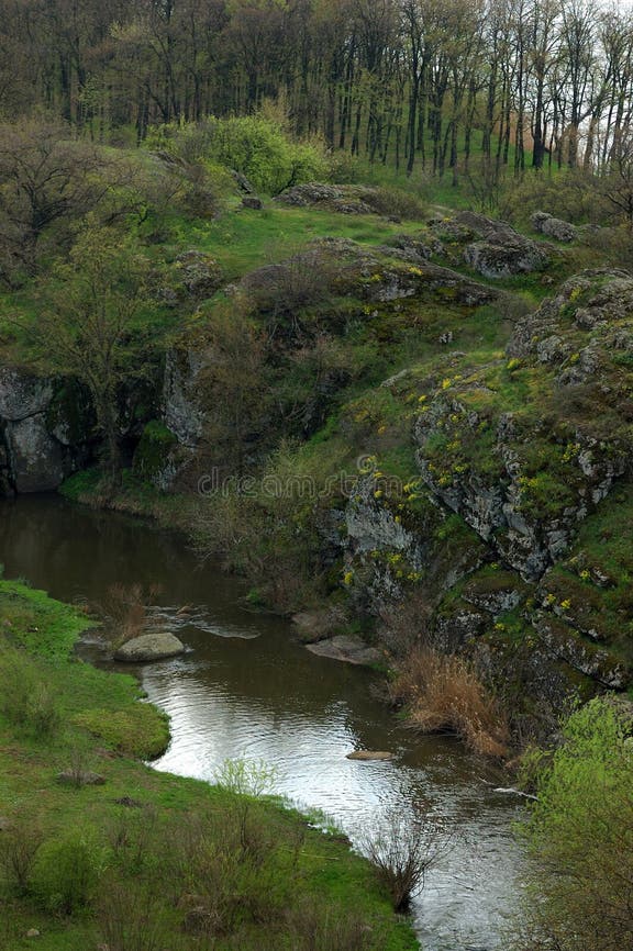 Brook in forest stock image. Image of rock, landscape - 4935125
