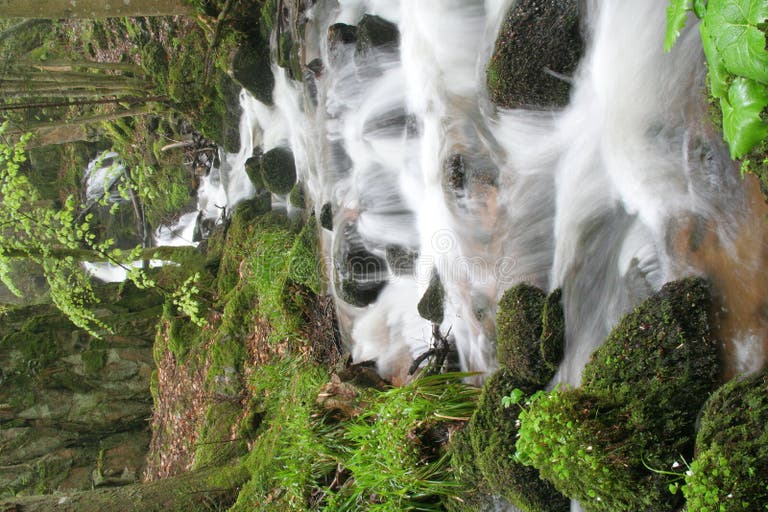 1,124 Top View Brook Stock Photos - Free & Royalty-Free Stock Photos ...