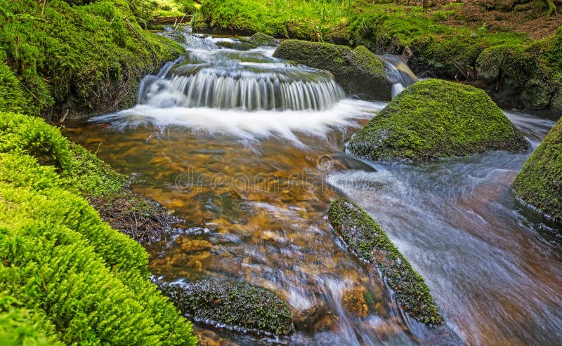 Brook in forest stock photo. Image of rock, river, cascade - 56096166