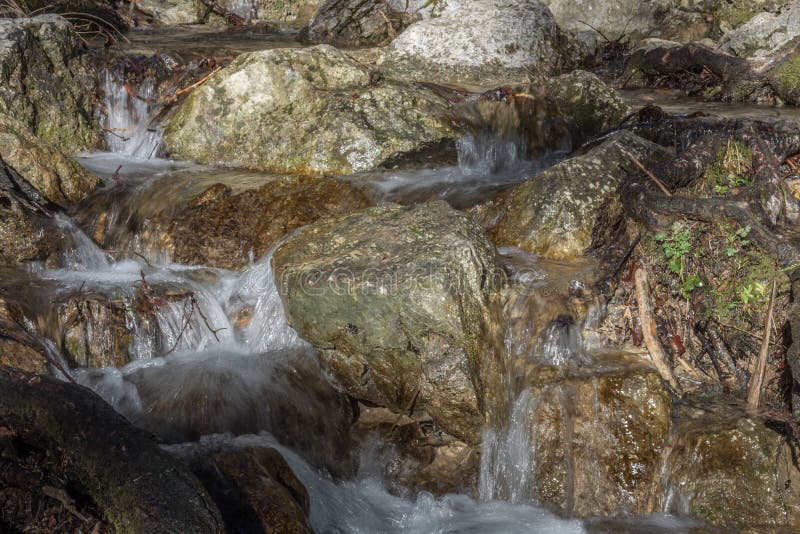 Brook with Many Rocks in a Forest Stock Image - Image of point, rain ...