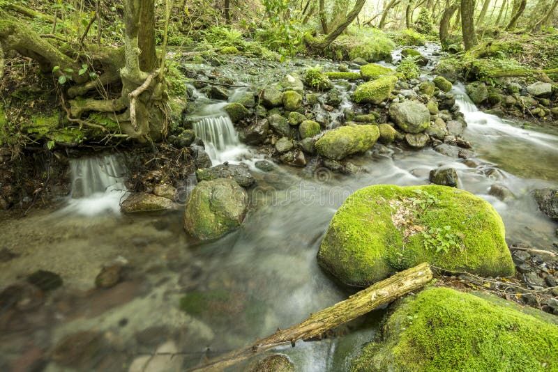 Brook and mossy stone stock photo. Image of creek, rural - 43658114