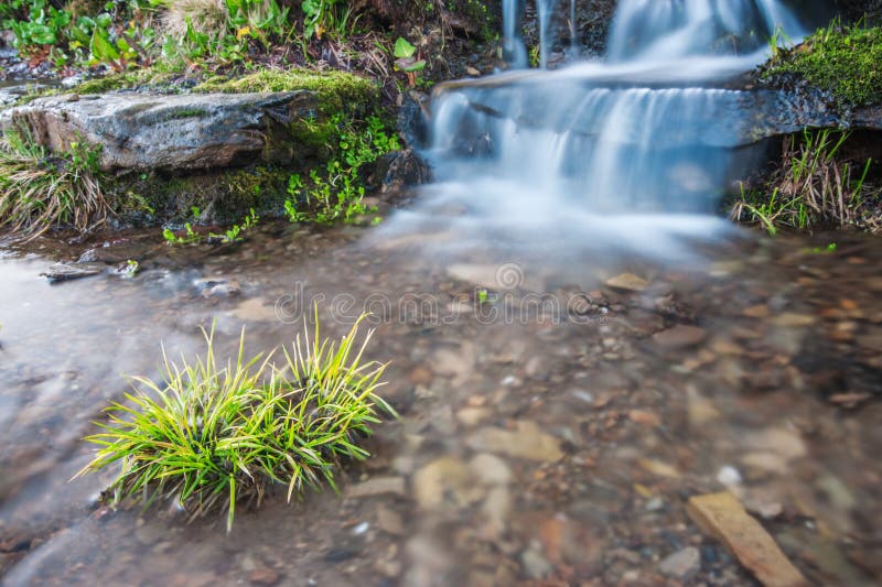 Brook stock photo. Image of mountain, spring, flowing - 37686960