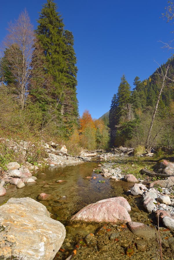 Brook in mountains stock photo. Image of reflection, beauty - 79143460