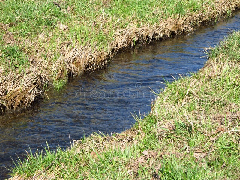 Brook stock image. Image of water, grass, banks, ecology - 51552261