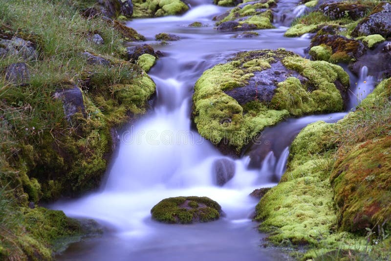 Brook at night stock image. Image of night, tender, grass - 5130025