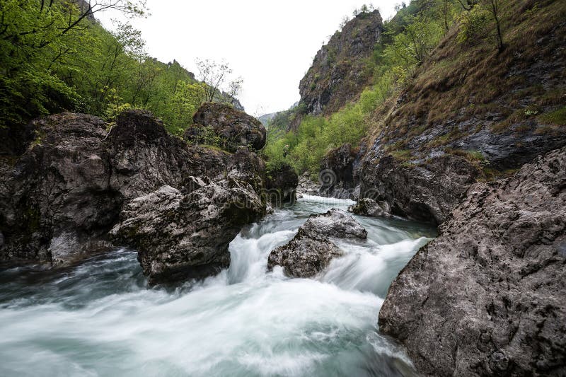 Brook stock photo. Image of rocks, green, nature, vegetation - 40150866