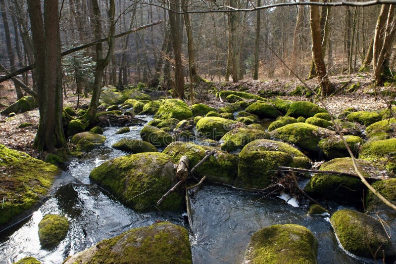 Brook with Rounded Boulders in Forest. Stock Photo - Image of boulder ...