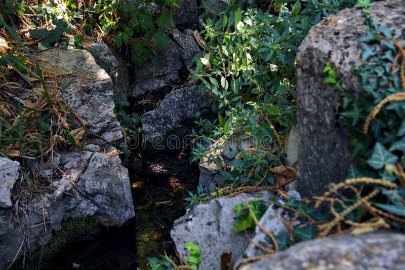 Brook in the Shade Bordered by Rocks and Plants in a Park Stock Image ...