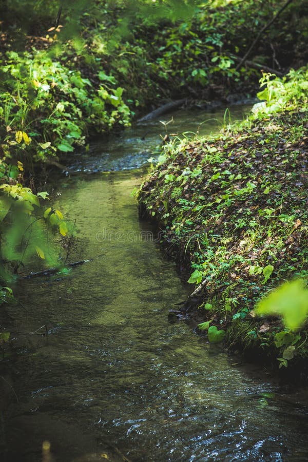Brook small river stock photo. Image of ecology, emerald - 103581280