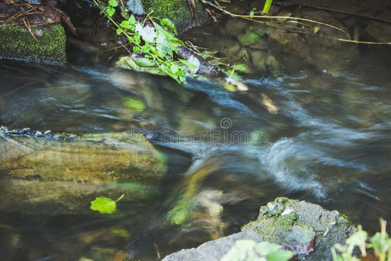 Brook small river stock photo. Image of ecology, emerald - 103581280