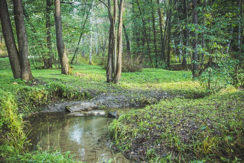 Brook small river stock image. Image of green, landscape - 103581981