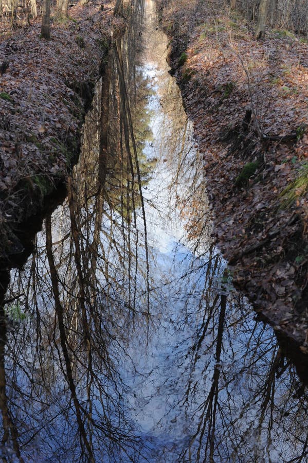 A Small Brook or Stream or Creek in a Forest with Trees Reflecting in ...