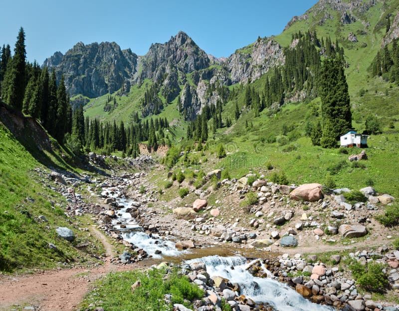 Brook Stream Water Nature Summer Mountains Central Asia Stock Photo ...