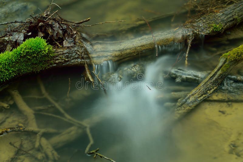 Brook stock photo. Image of valley, landscape, green - 39969496