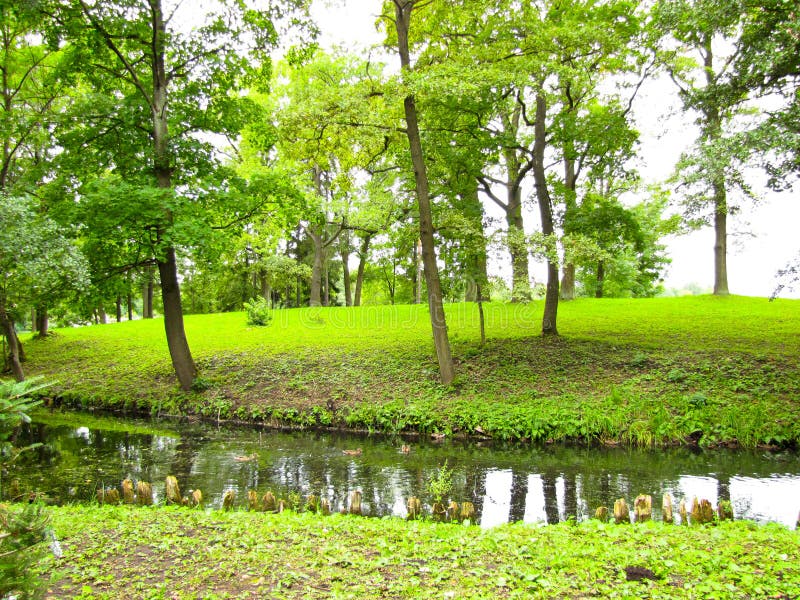 Lawn And Trees By Brook In Spring Stock Photo - Image of bank, green ...