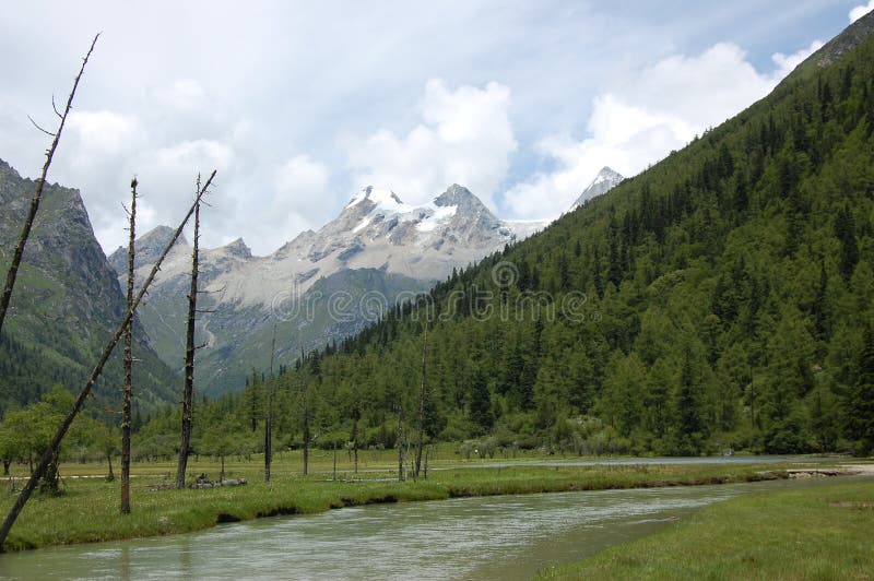 Brook in the valley stock image. Image of stream, green - 4305935