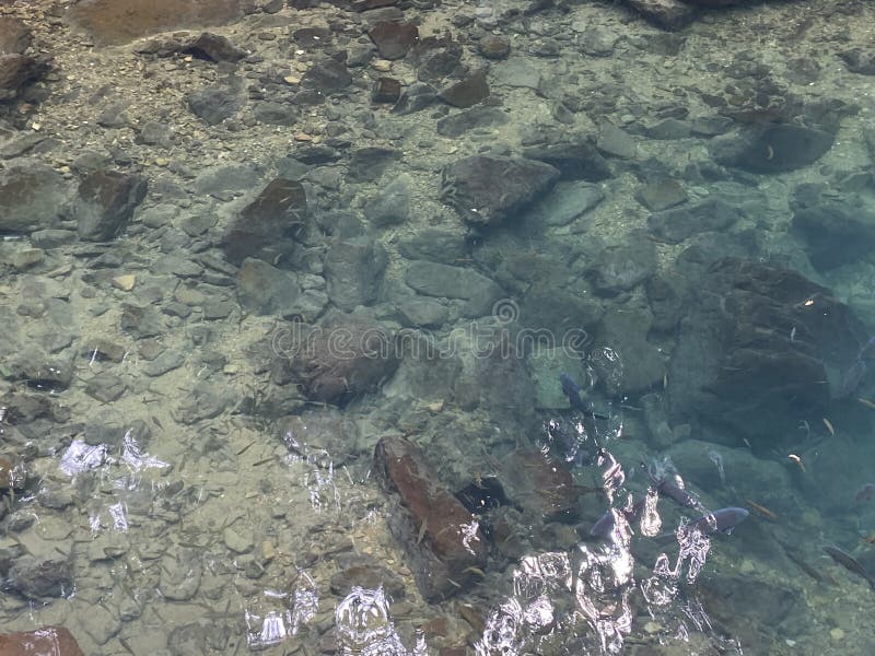 Brook stock image. Image of geology, rock, water, soil - 270943463