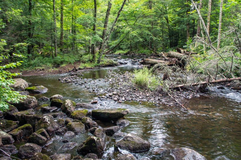 Brook in the wilderness stock image. Image of water - 106852089