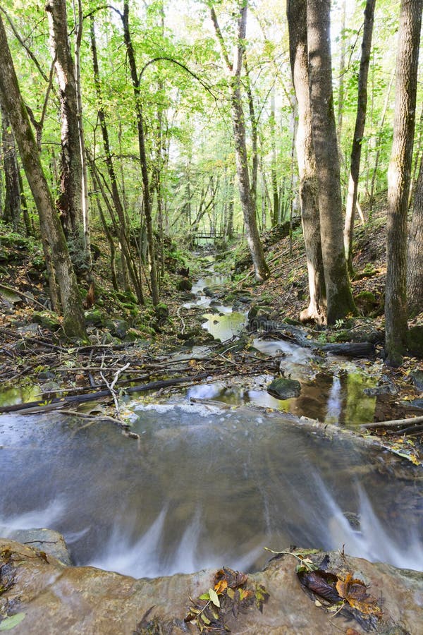 Brook in the woods stock image. Image of foliage, boulders - 18308765