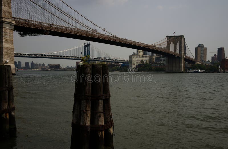 Brooklyn Bridge stock image. Image of building, metropolis - 335828941