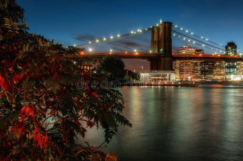 Brooklyn Bridge from Brooklyn at Night Stock Photo - Image of ...