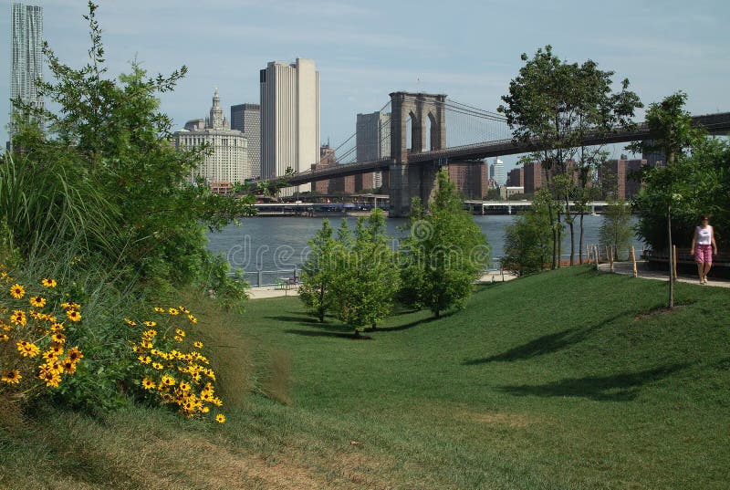 Water Lab Pier 6 Brooklyn Bridge Park New York USA Editorial ...