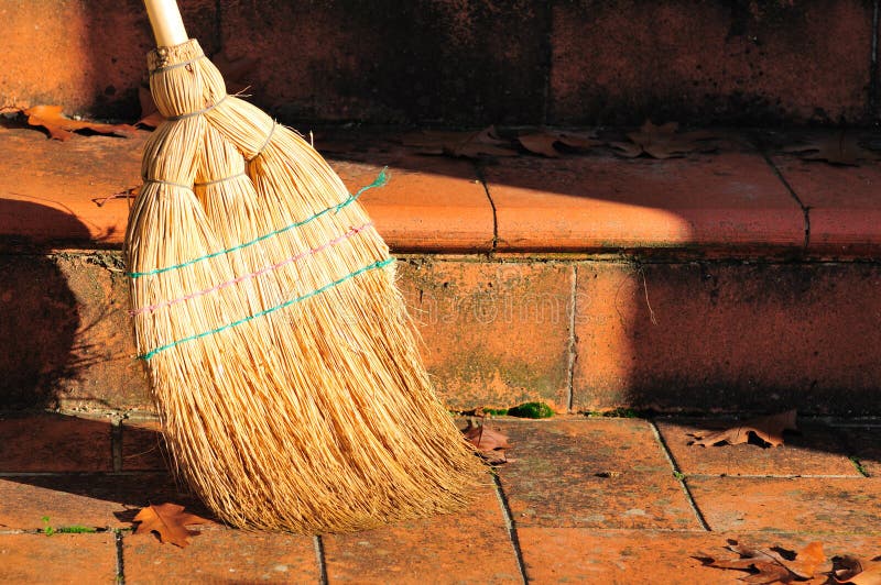 Horizontal View of Broom Full of Horse`s Manure and a Scoop at T Stock ...