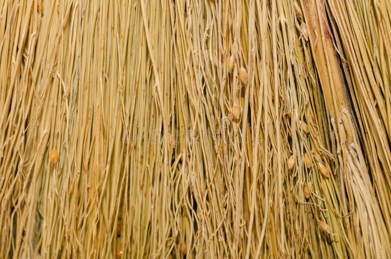 Broom Close-up Texture. Straw Backgrounds Stock Image - Image of bunch ...