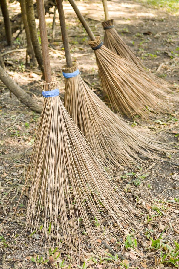 Broom from Coconut Branch in Garden Stock Image - Image of besom, wood ...
