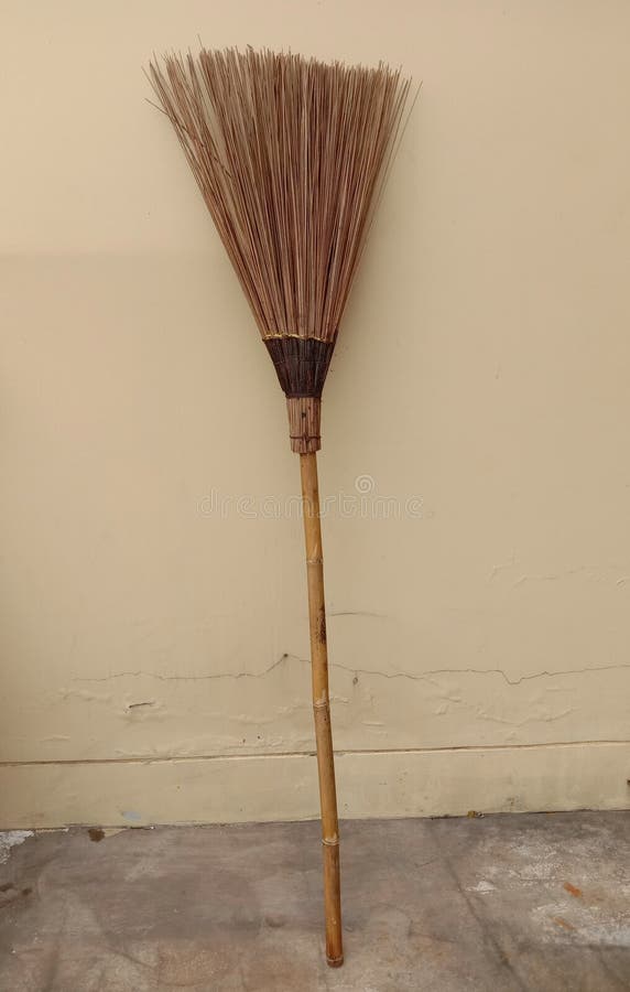 Broom in the Coconut Tree is a Broom Made from the Petioles of the ...