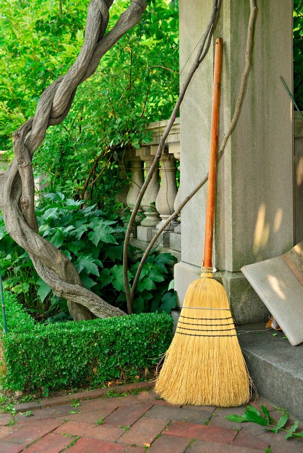 Broom in Garden stock photo. Image of brush, boxwood, patio - 5397792