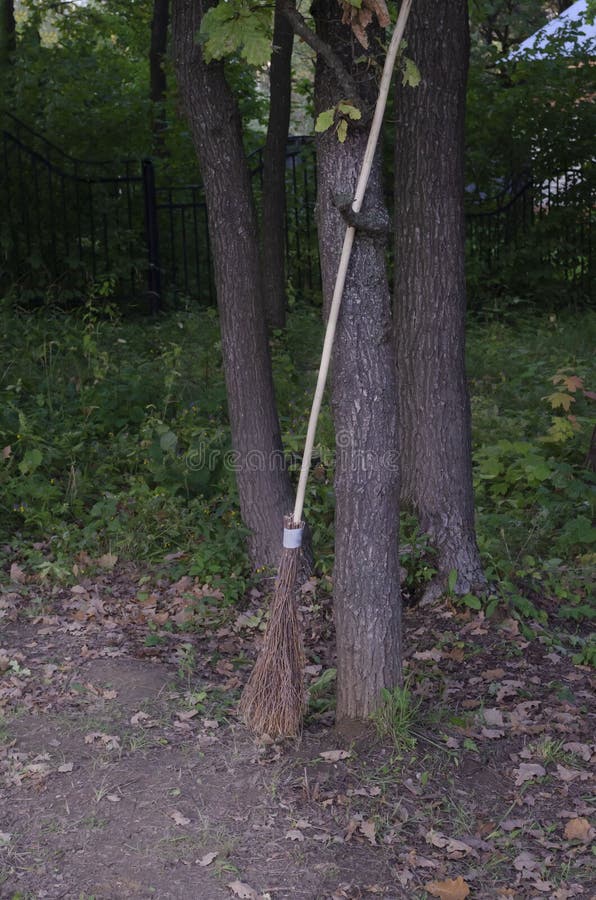 Broom Made of Branches Leaned Against a Tree in a Park on a Background ...