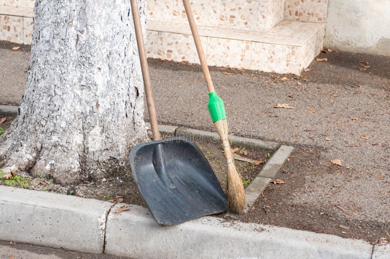 Broom and Shovel Leaning Against Tree after Sweeping Leaves Stock Image ...