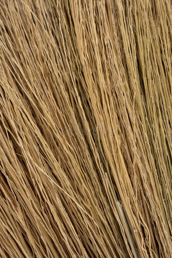 Broom Stick Grass Texture Close Up View Background Stock Photo - Image ...