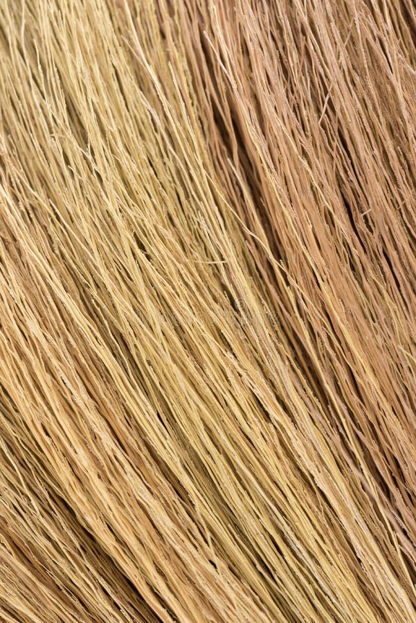 Broom Stick Grass Texture Close Up View Background Stock Photos - Free ...