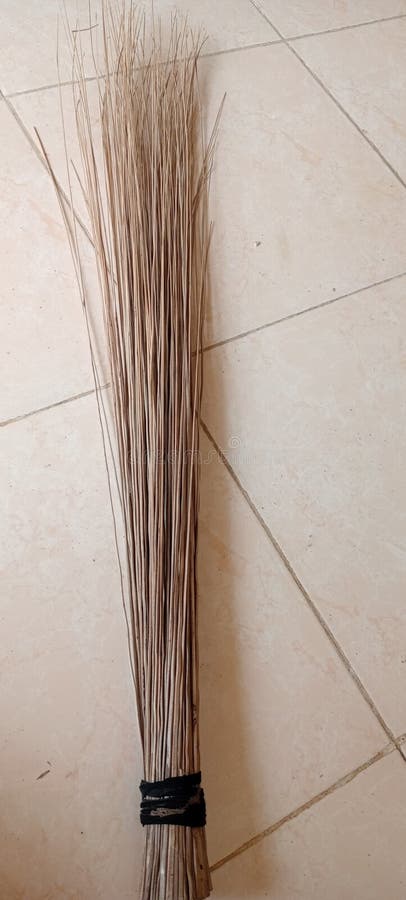 Broom stick stock photo. Image of palm, broom, stick - 263961370