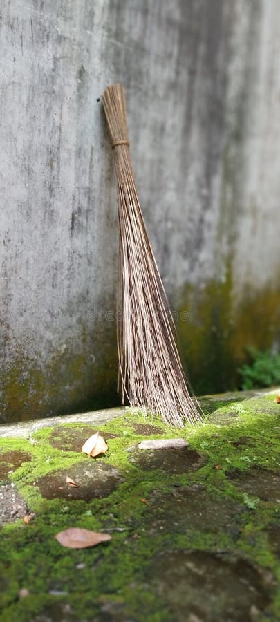 Broom Stick Made of Coconut Leaf Frame Stock Image - Image of frame ...