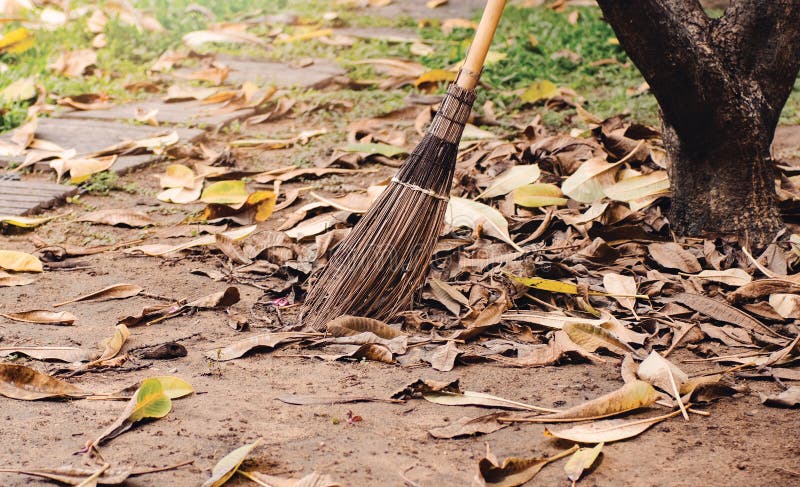 Broom and fallen leaves stock image. Image of cleaning - 197478651