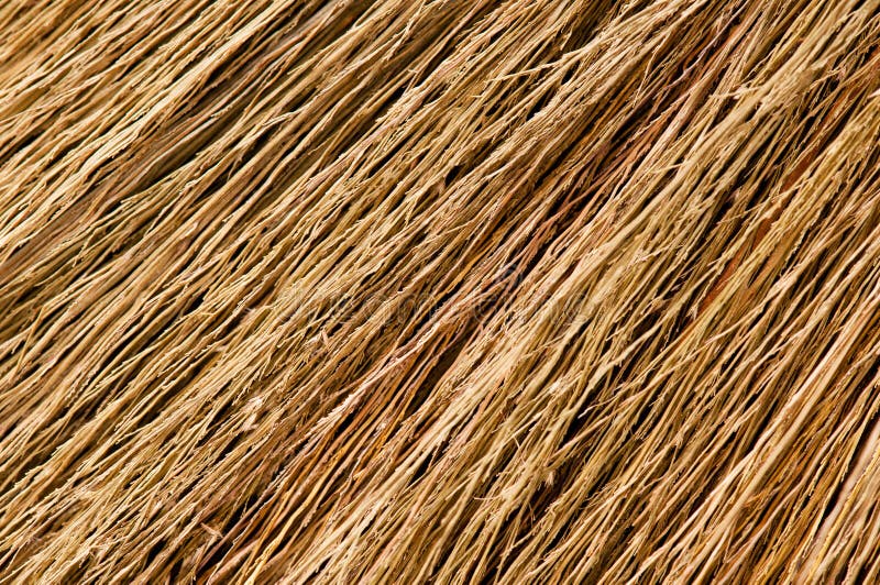 Broom Texture Picture. Image: 19113690