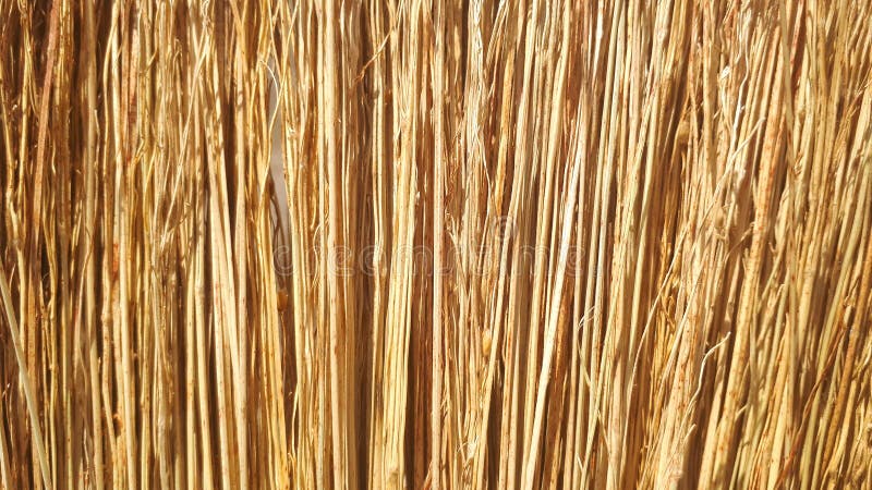 2,676 Broom Texture Stock Photos - Free & Royalty-Free Stock Photos ...