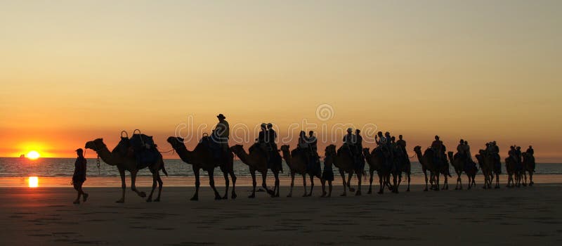 Broome Camel Sunset stock photo. Image of ocean, australia - 9456692