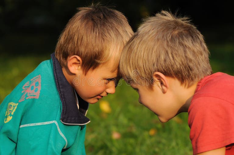 562 Brothers Fighting Stock Photos - Free & Royalty-Free Stock Photos ...