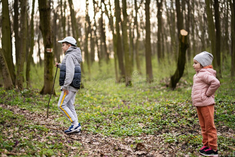 Brother with Sister Discover Spring Forest Together Stock Image - Image ...