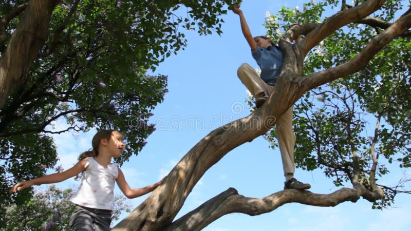Brother and Sister Play on Tree in City Park in Stock Footage - Video ...