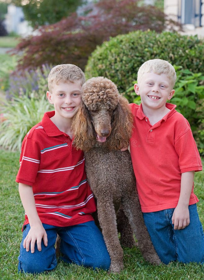 Brothers stock photo. Image of closeup, dogs, animals - 15488580