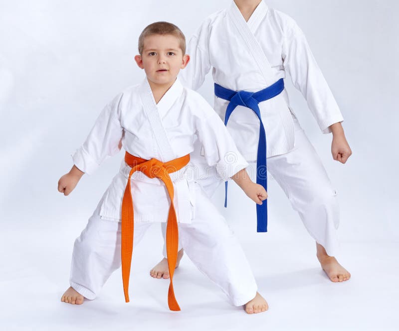 Brothers in Karategi Stand in the Rack Karate Stock Image - Image of ...