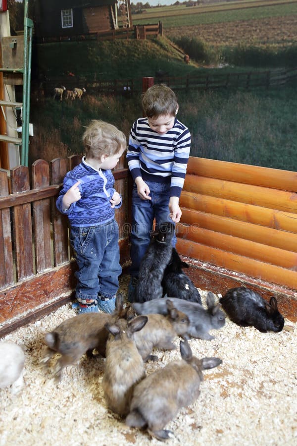 Brothers with rabbits stock image. Image of care, cute - 92158019
