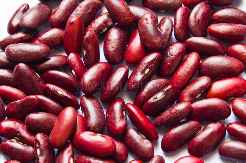 Brow beans stock image. Image of brown, food, protien - 25345641