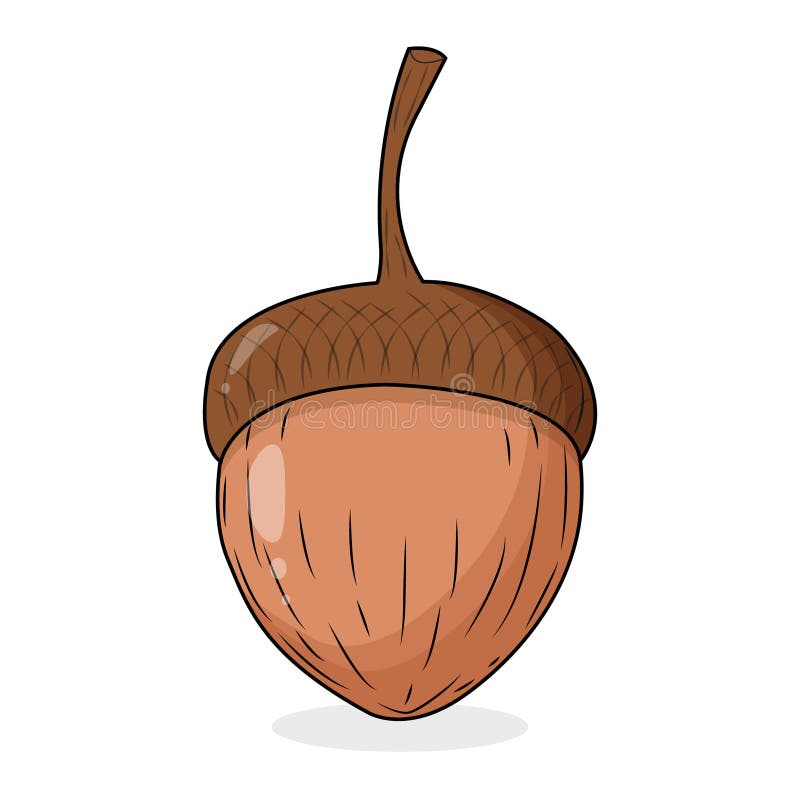 A Brown Acorn. Cartoon Illustration. Stock Vector - Illustration of ...